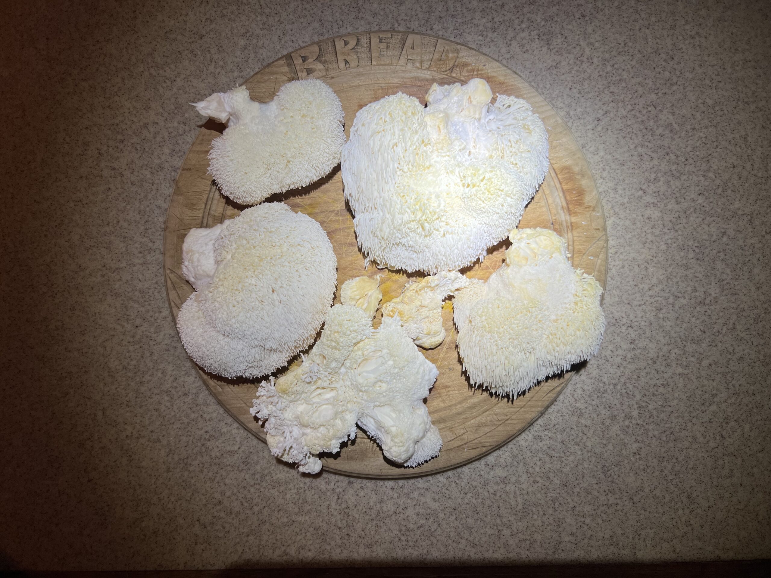 Ways to eat Lions Mane - The Mushroom Lady
